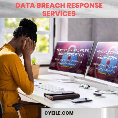 Data Breach Response - CyEile Technologies Pvt Ltd